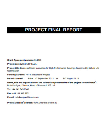 Project Final Report 19 Examples Format Pdf Examples