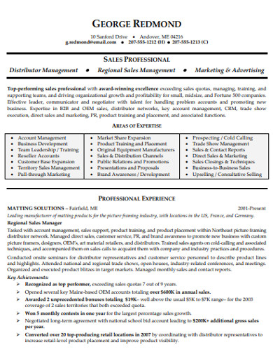 Sales Resume - 12+ Examples, Format, Word, Pages, PDF
