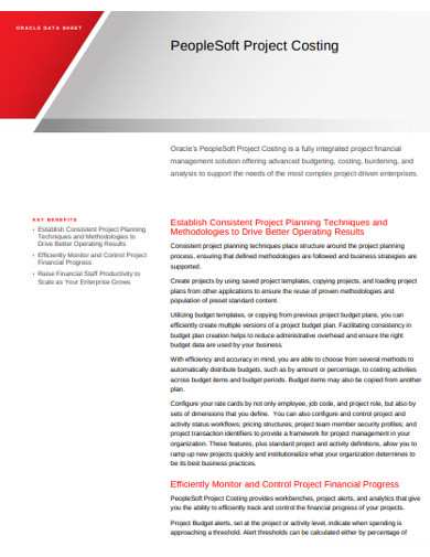 Project Costing - 12+ Examples, Format, Pdf | Examples