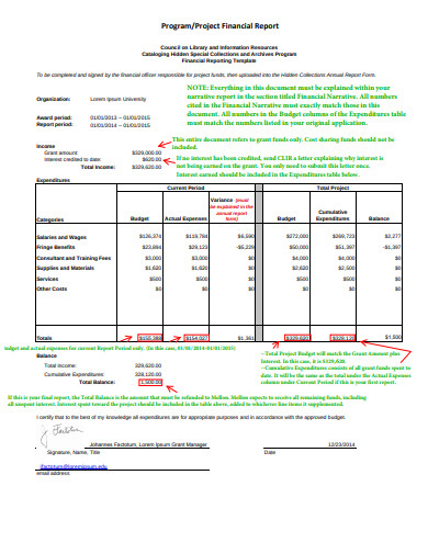 Project Financial Report 15 Examples Format Pdf Examples