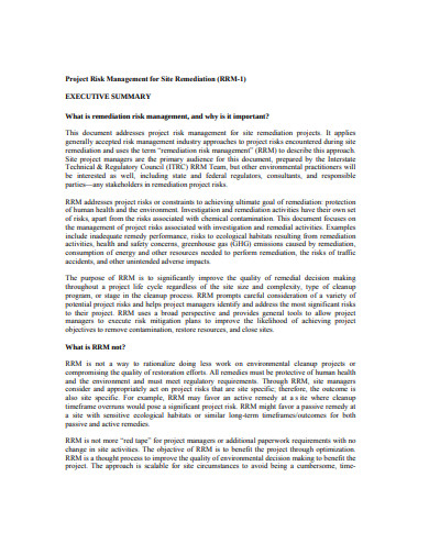 Project Executive Summary - 17+ Examples, Format, Pdf | Examples