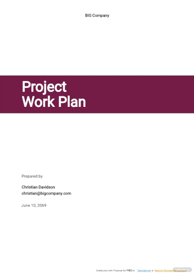 Project Work Plan - 30+ Examples, Format, Pdf | Examples