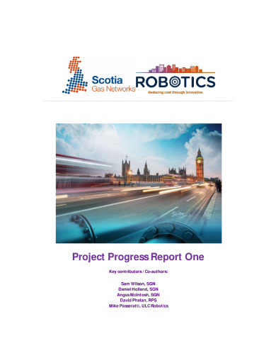 Project Progress Report - 10+ Examples, Format, Pdf | Examples