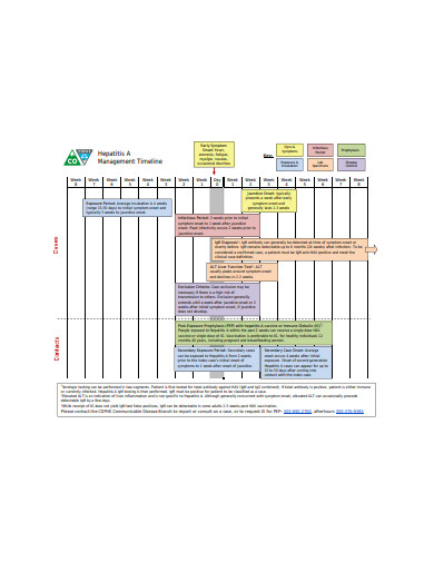 Management Timeline - 17+ Examples, Format, Pdf | Examples