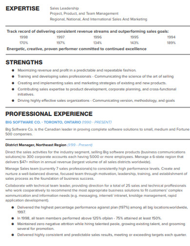 Sales Resume - 12+ Examples, Format, Word, Pages, PDF