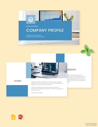 Company Profile - 37+ Examples, Format, Pdf | Examples
