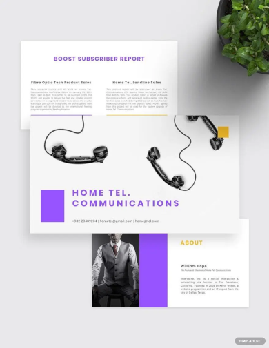 Sales Presentation - 15+ Examples, Format, Doc, PDF