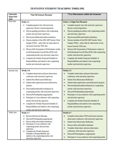 Student Timeline - 17+ Examples, Format, Pdf | Examples