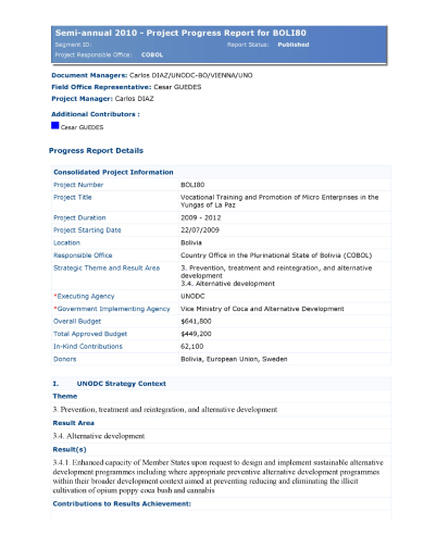 Project Progress Report - 10+ Examples, Format, Pdf | Examples
