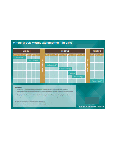 Management Timeline - 17+ Examples, Format, Pdf | Examples