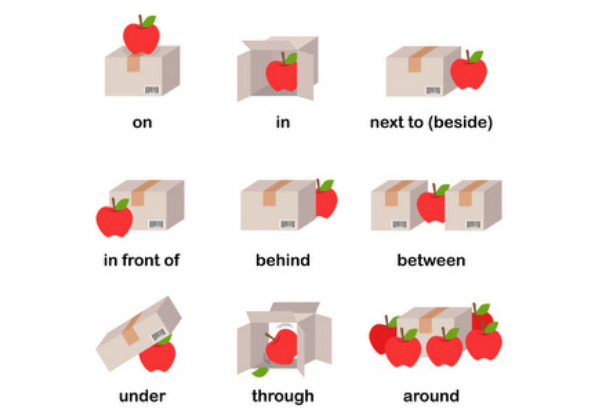 Preposition Sentences - Examples, Format, Sample