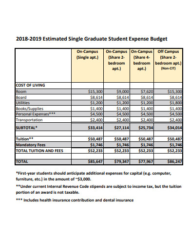Expense Budget Examples - 14+ Templates in Google Docs, Google Sheets ...