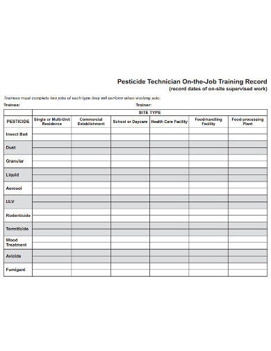 Training Record 17 Examples Format Pdf Examples