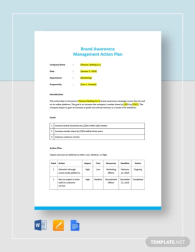 65+ Action Plan Examples in PDF | MS Word | Google Docs | Pages | Examples