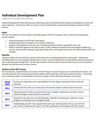 Individual Development Plan - 18+ Examples, Format, Pdf | Examples