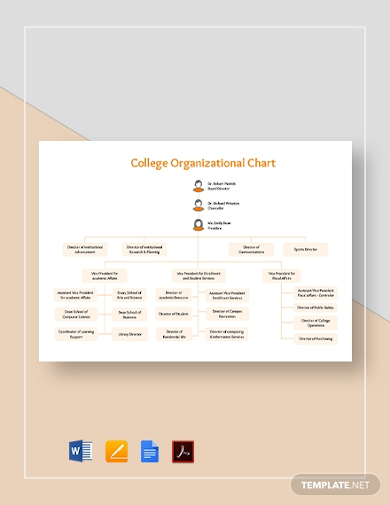 School Organizational Chart - 26+ Examples, Format, Pdf | Examples