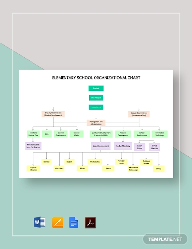 School Organizational Chart - 26+ Examples, Format, Pdf | Examples
