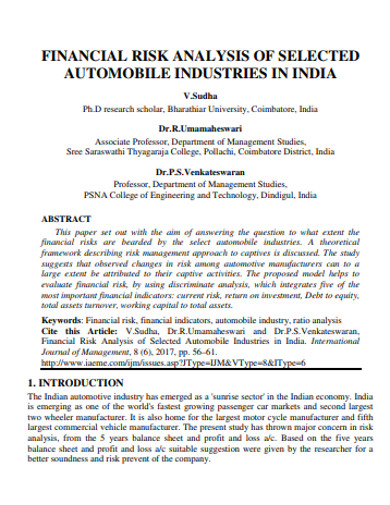 Financial Risk Analysis - 5+ Examples, Format, How to Identify, Pdf