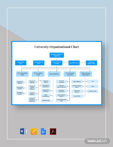 School Organizational Chart - 26+ Examples, Format, Pdf | Examples