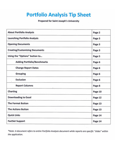Portfolio Analysis - 12+ Examples, Format, Pdf