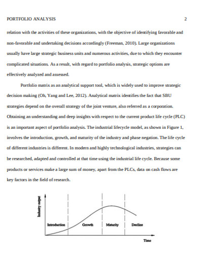 Portfolio Analysis - 12+ Examples, Format, Pdf