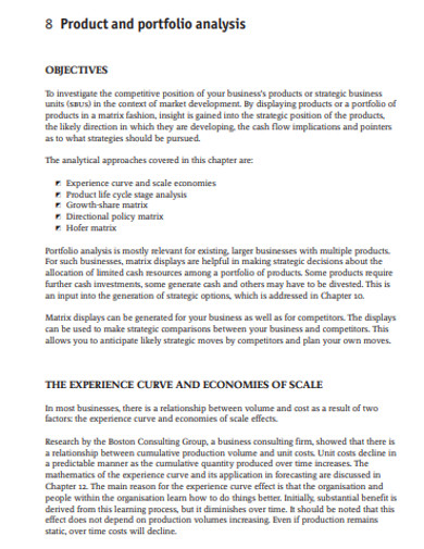 Portfolio Analysis - 12+ Examples, Format, Pdf