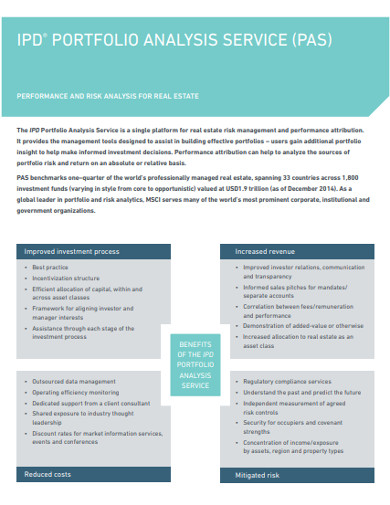 Portfolio Analysis - 12+ Examples, Format, Pdf