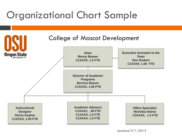 Basic Organizational Charts - 10+ Examples, Format, Pdf