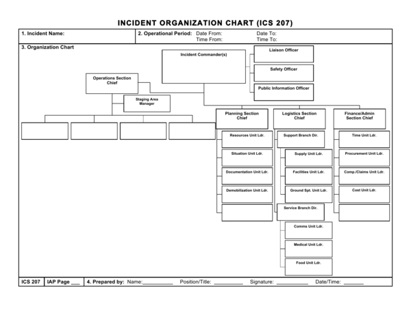 Basic Organizational Charts - 10+ Examples, Format, Pdf