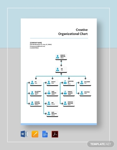 Vertical Organizational Chart 10 Examples Format Pdf Examples