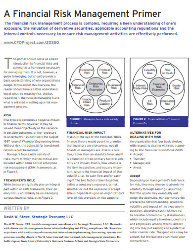 Financial Risk Management - 9+ Examples, Format, Benefits, Pdf
