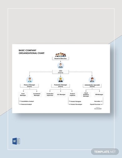 Basic Organizational Charts - 10+ Examples, Format, Pdf