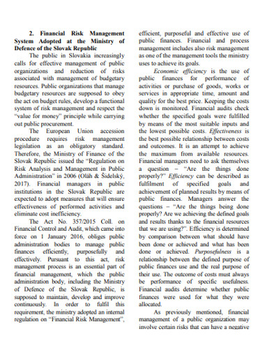 Financial Risk Management - 9+ Examples, Format, Benefits, Pdf