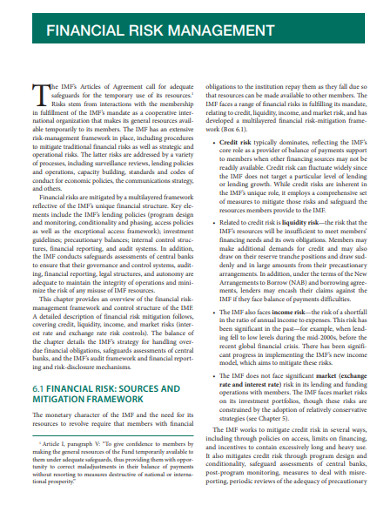 Financial Risk Management - 9+ Examples, Format, Benefits, Pdf