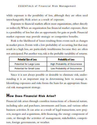 Financial Risk Management - 9+ Examples, Format, Benefits, Pdf