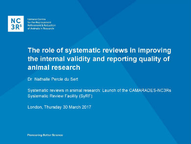 Internal External Validity - 15+ Examples, Format, Pdf