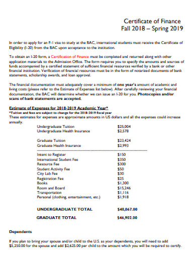 Financial Certificate - 12+ Examples, Format, How To Create, Pdf