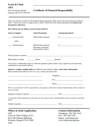 Financial Certificate - 12+ Examples, Format, How To Create, Pdf