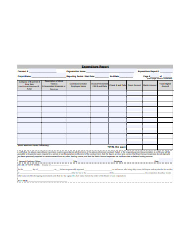 Expenditure Report Examples 11 In PDF MS Word Examples