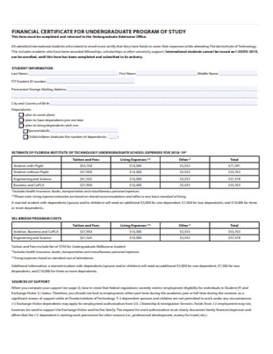 Financial Certificate - 12+ Examples, Format, How To Create, Pdf