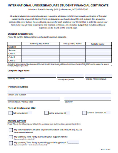 Financial Certificate - 12+ Examples, Format, How To Create, Pdf