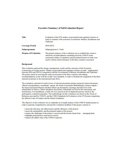 Executive Summary Report - 12+ Examples, Google Docs, Word, Pages, How ...
