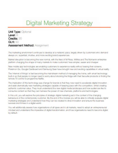 Digital Marketing Strategy - 10+ Examples, Format, Pdf | Examples
