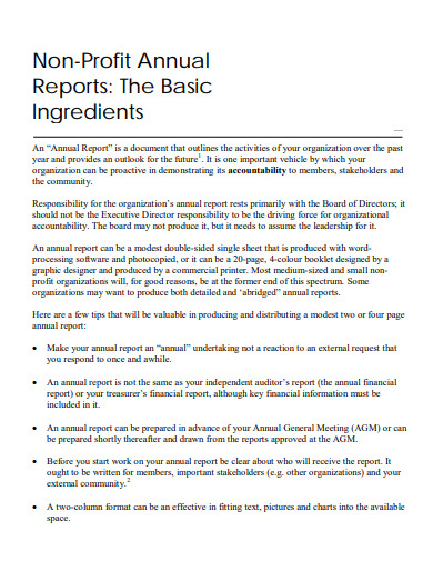 10+ Nonprofit Annual Report Examples in PDF | MS Word | Examples
