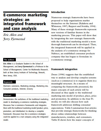 10+ E-Commerce Marketing Strategy Examples in PDF | MS Word | Examples