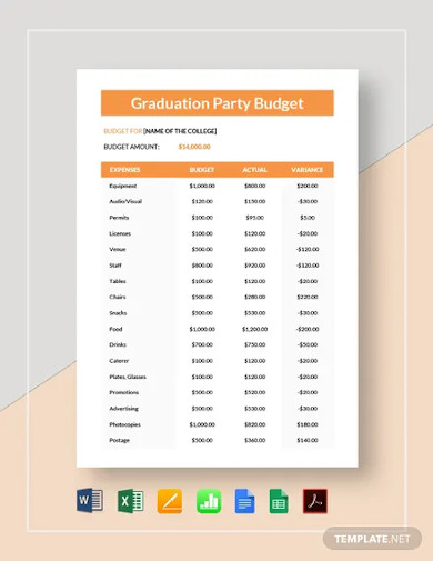 Party Budget 10 Examples Format Pdf Examples