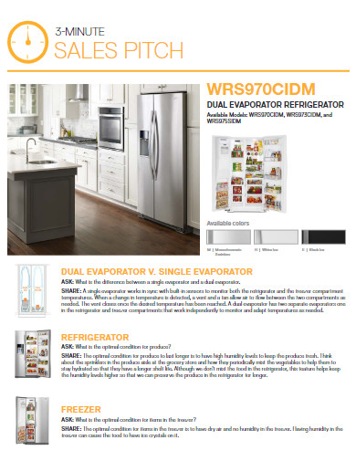 23+ Sales Pitch Examples in PDF, Google Slides, Powepoint, Flowcharts ...