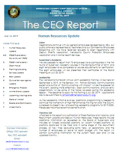 CEO Report - 10+ Examples, Format, Pdf | Examples