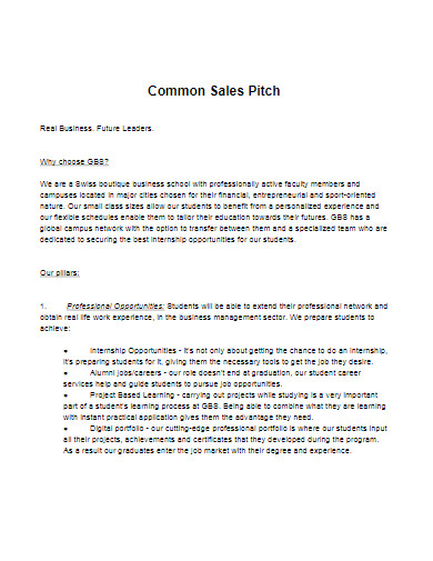 23+ Sales Pitch Examples in PDF, Google Slides, Powepoint, Flowcharts ...