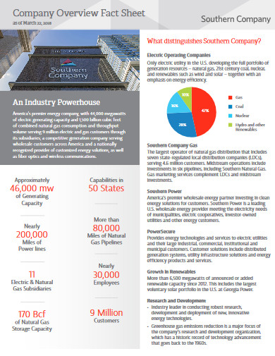 Company Sheet - 15+ Examples, Format, Pdf | Examples